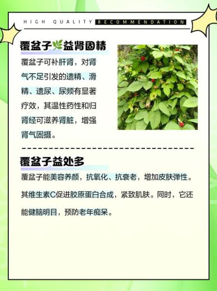 覆盆子功效与作用_覆盆子用法用量-第2张图片-山城妙识 覆盆子功效与作用_覆盆子用法用量-第2张图片-山城妙识