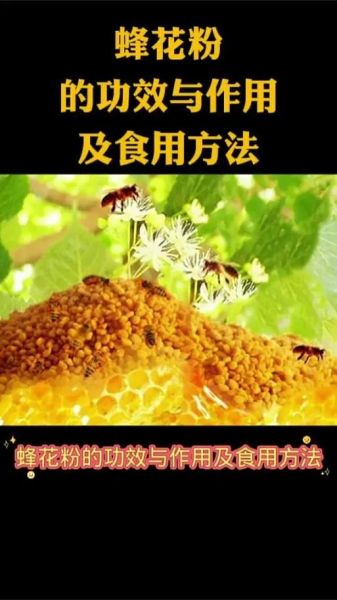 蜂花粉怎么吃_蜂花粉一天吃几次-第2张图片-山城妙识 蜂花粉怎么吃_蜂花粉一天吃几次-第2张图片-山城妙识