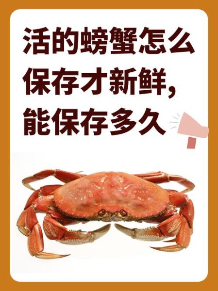 螃蟹怎么保存才新鲜活_活螃蟹能放冰箱吗-第1张图片-山城妙识