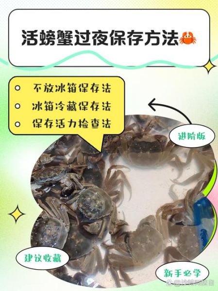 螃蟹怎么保存才新鲜活_活螃蟹能放冰箱吗-第2张图片-山城妙识