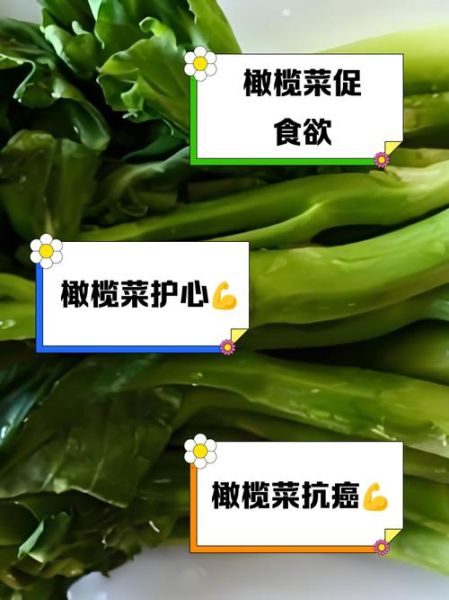 橄榄菜的营养价值_孕妇能吃橄榄菜吗-第1张图片-山城妙识 橄榄菜的营养价值_孕妇能吃橄榄菜吗-第1张图片-山城妙识
