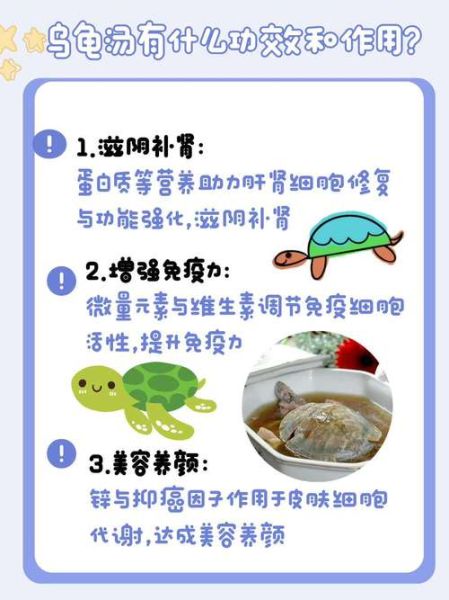 炖龟汤用什么药材_炖龟汤最佳药材推荐-第1张图片-山城妙识