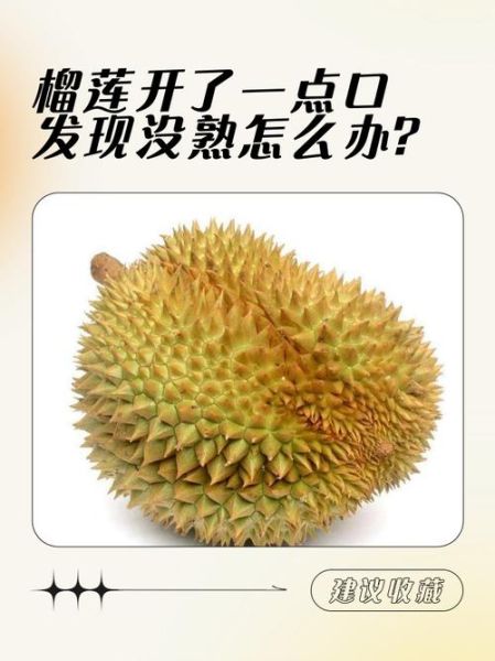 榴莲没熟剥开了怎么办_榴莲剥开不熟还能吃吗-第3张图片-山城妙识 榴莲没熟剥开了怎么办_榴莲剥开不熟还能吃吗-第3张图片-山城妙识