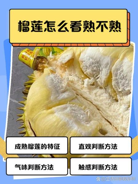 榴莲没熟剥开了怎么办_榴莲剥开不熟还能吃吗-第2张图片-山城妙识 榴莲没熟剥开了怎么办_榴莲剥开不熟还能吃吗-第2张图片-山城妙识