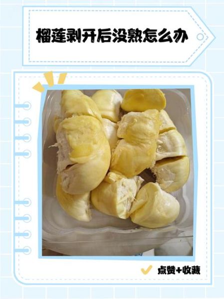 榴莲没熟剥开了怎么办_榴莲剥开不熟还能吃吗-第1张图片-山城妙识 榴莲没熟剥开了怎么办_榴莲剥开不熟还能吃吗-第1张图片-山城妙识