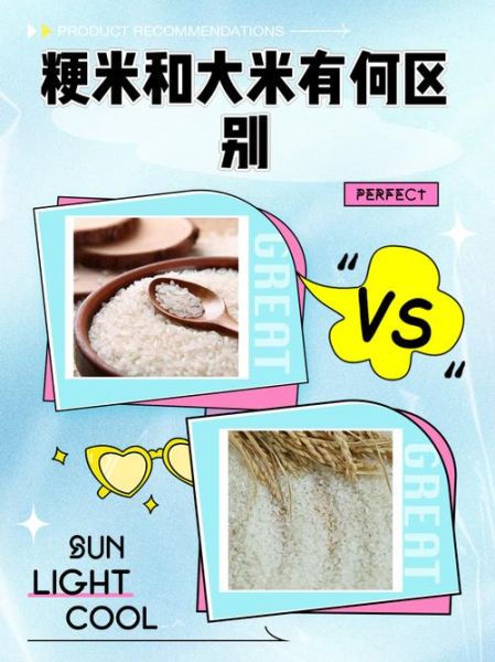 中药粳米是什么米_粳米与大米区别-第2张图片-山城妙识 中药粳米是什么米_粳米与大米区别-第2张图片-山城妙识