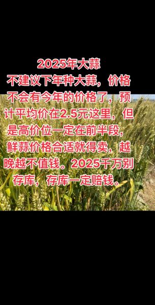 2021年大蒜最高价格是多少_大蒜行情预测-第3张图片-山城妙识 2021年大蒜最高价格是多少_大蒜行情预测-第3张图片-山城妙识