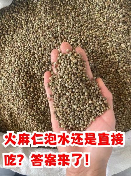 火麻仁长什么样_火麻仁图片与实物区别-第1张图片-山城妙识 火麻仁长什么样_火麻仁图片与实物区别-第1张图片-山城妙识