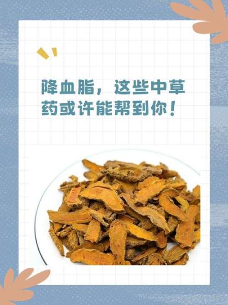 降血脂最快最好的方法_高血脂如何快速降下来-第3张图片-山城妙识