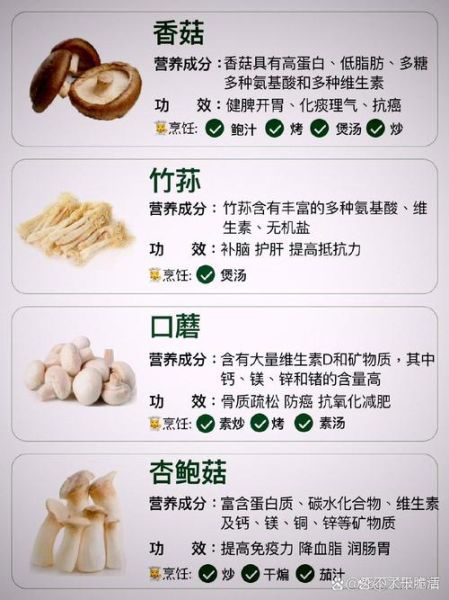 菌菇类大全有哪些_菌菇类营养价值排行-第2张图片-山城妙识 菌菇类大全有哪些_菌菇类营养价值排行-第2张图片-山城妙识