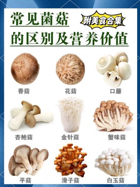 菌菇类大全有哪些_菌菇类营养价值排行-第1张图片-山城妙识 菌菇类大全有哪些_菌菇类营养价值排行-第1张图片-山城妙识