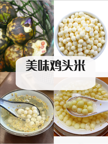 鸡头米图片多少钱一斤_鸡头米价格行情-第3张图片-山城妙识 鸡头米图片多少钱一斤_鸡头米价格行情-第3张图片-山城妙识