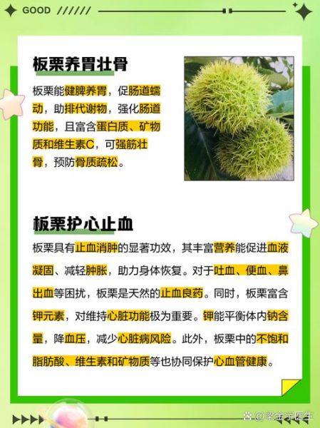 生板栗的功效与作用_生板栗的禁忌人群有哪些-第1张图片-山城妙识 生板栗的功效与作用_生板栗的禁忌人群有哪些-第1张图片-山城妙识