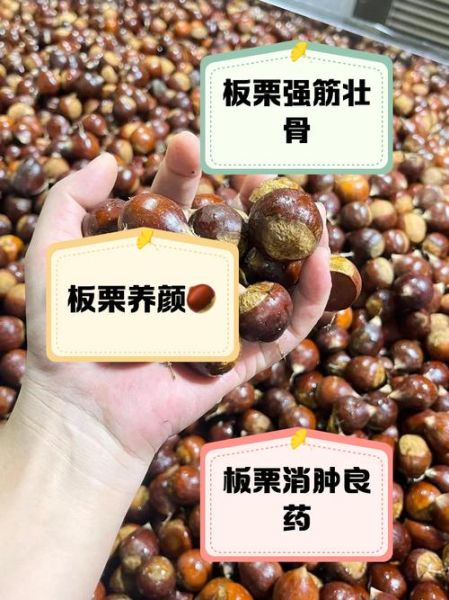 生板栗的功效与作用_生板栗的禁忌人群有哪些-第3张图片-山城妙识 生板栗的功效与作用_生板栗的禁忌人群有哪些-第3张图片-山城妙识