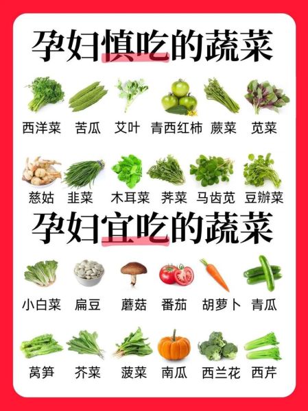 菜心不能和什么一起吃_孕妇能吃菜心吗-第1张图片-山城妙识