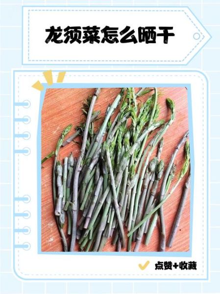干龙须菜泡开还用煮吗_龙须菜泡发后怎么处理-第1张图片-山城妙识 干龙须菜泡开还用煮吗_龙须菜泡发后怎么处理-第1张图片-山城妙识