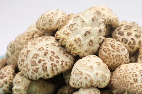 花菇和香菇哪个营养价值高_花菇和香菇的区别与功效-第2张图片-山城妙识 花菇和香菇哪个营养价值高_花菇和香菇的区别与功效-第2张图片-山城妙识