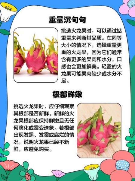 火龙果怎么挑_火龙果热量高吗-第3张图片-山城妙识 火龙果怎么挑_火龙果热量高吗-第3张图片-山城妙识