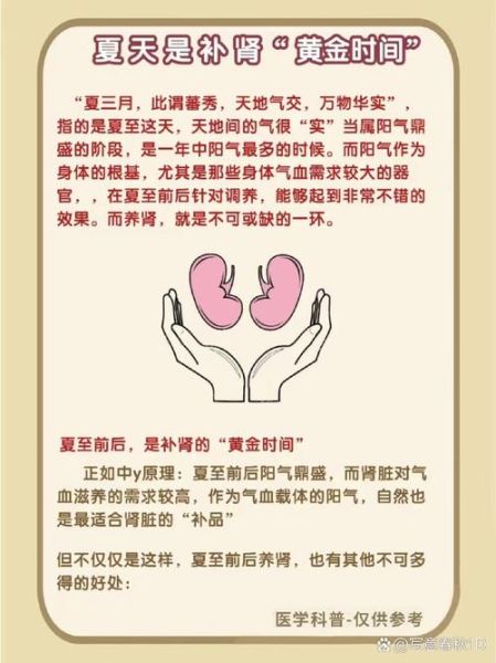 补肾的方法有哪些_肾虚怎么调理最快-第3张图片-山城妙识