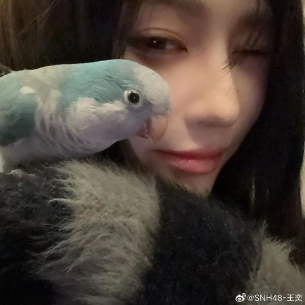 王奕萌素颜长什么样_王奕萌素颜对比精修差距大吗-第1张图片-山城妙识