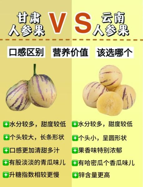 人参果不能和什么一起吃_人参果相克的食物有哪些-第1张图片-山城妙识