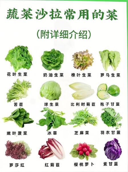 蔬菜沙拉用什么蔬菜好_蔬菜沙拉配料有哪些-第2张图片-山城妙识 蔬菜沙拉用什么蔬菜好_蔬菜沙拉配料有哪些-第2张图片-山城妙识