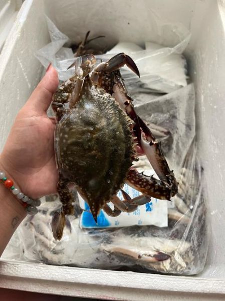 梭子蟹死了一天还能吃吗_如何判断是否变质-第1张图片-山城妙识