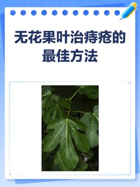 无花果治疗痔疮的方法_无花果怎么用治痔疮-第1张图片-山城妙识