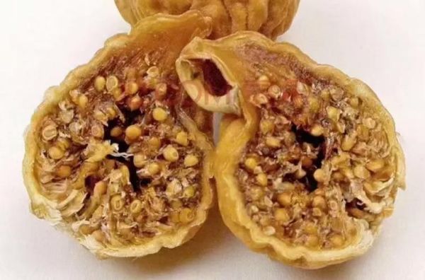 无花果治疗痔疮的方法_无花果怎么用治痔疮-第2张图片-山城妙识