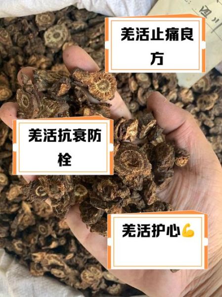 羌活的功效与作用_羌活能治什么病-第3张图片-山城妙识 羌活的功效与作用_羌活能治什么病-第3张图片-山城妙识