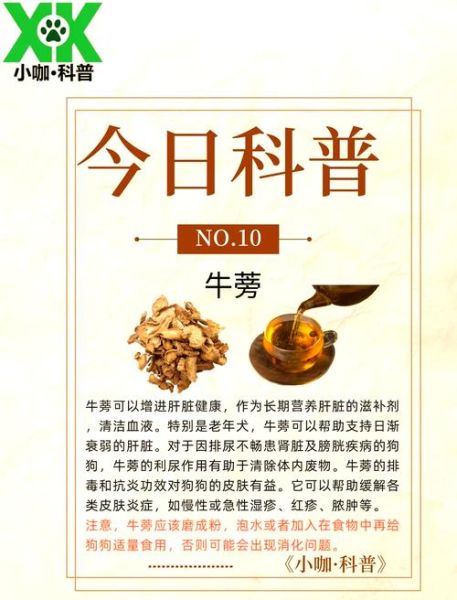 牛蒡根的功效与作用_牛蒡根怎么吃最好-第2张图片-山城妙识 牛蒡根的功效与作用_牛蒡根怎么吃最好-第2张图片-山城妙识