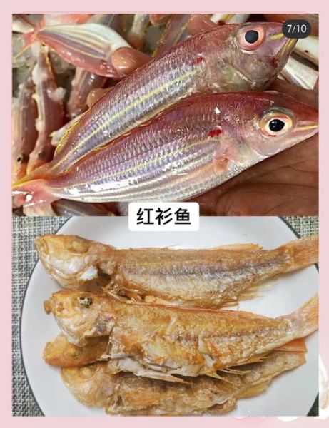 海鱼怎么做好吃_海鱼家常做法大全图解-第3张图片-山城妙识 海鱼怎么做好吃_海鱼家常做法大全图解-第3张图片-山城妙识