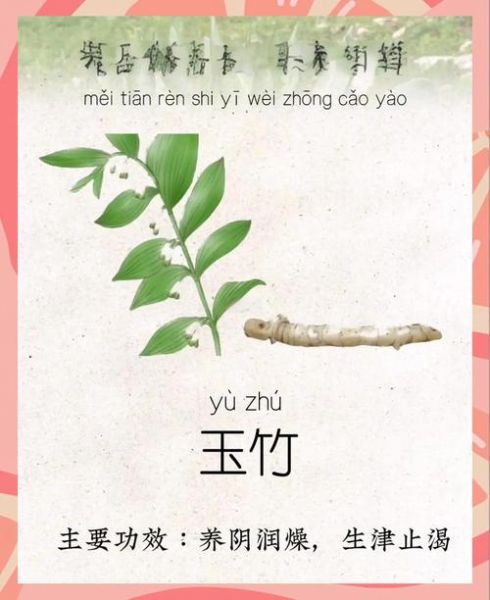 玉竹的功效与作用_玉竹的禁忌症有哪些-第3张图片-山城妙识