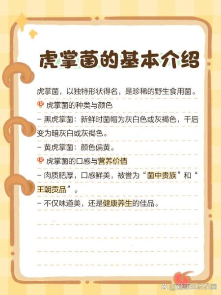 虎掌菌怎么做好吃_虎掌菌炖汤还是爆炒更香-第3张图片-山城妙识 虎掌菌怎么做好吃_虎掌菌炖汤还是爆炒更香-第3张图片-山城妙识