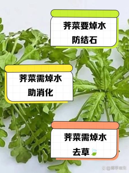 荠菜煮水能降血压吗_荠菜煮水的功效与作用-第2张图片-山城妙识 荠菜煮水能降血压吗_荠菜煮水的功效与作用-第2张图片-山城妙识