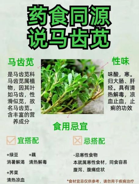 马齿苋禁忌致命_马齿苋中毒怎么办-第1张图片-山城妙识