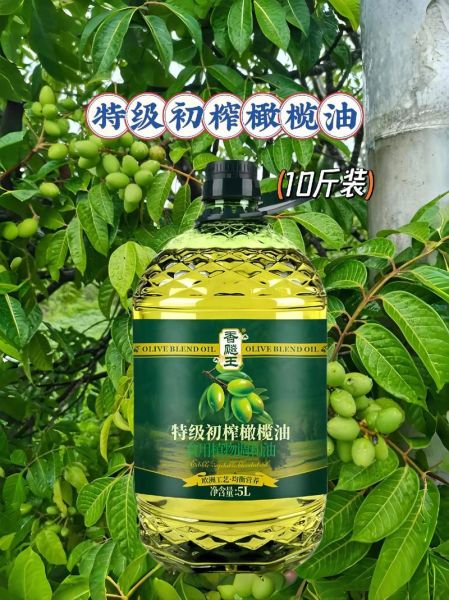橄榄油怎么吃最好_橄榄油有什么功效-第3张图片-山城妙识