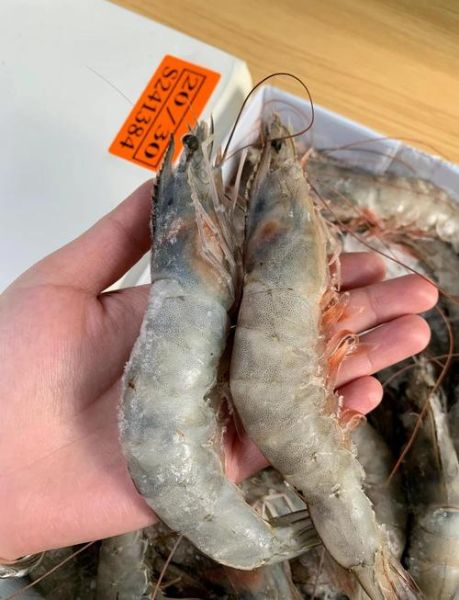 盐冻虾怎么做好吃_盐冻虾的正确处理方法-第1张图片-山城妙识 盐冻虾怎么做好吃_盐冻虾的正确处理方法-第1张图片-山城妙识