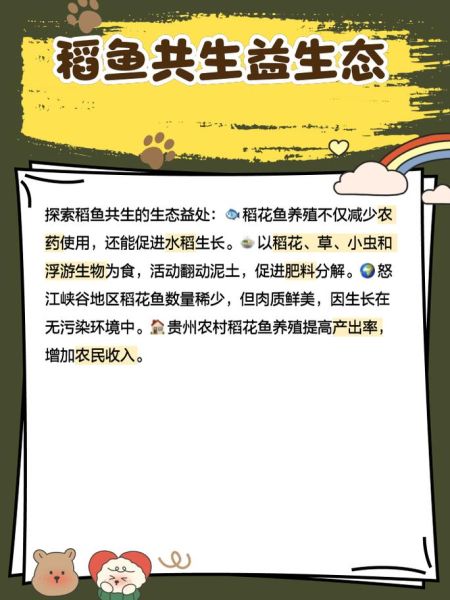 稻花鱼多少钱一斤_稻花鱼价格行情-第3张图片-山城妙识