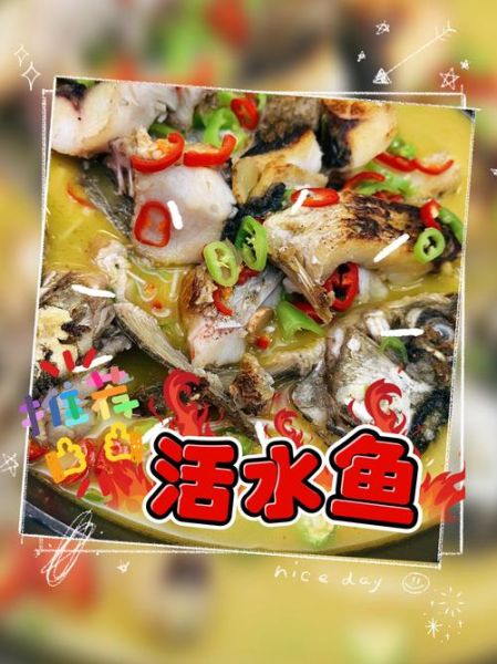 活水鱼怎么选_活水鱼最正宗的做法-第1张图片-山城妙识