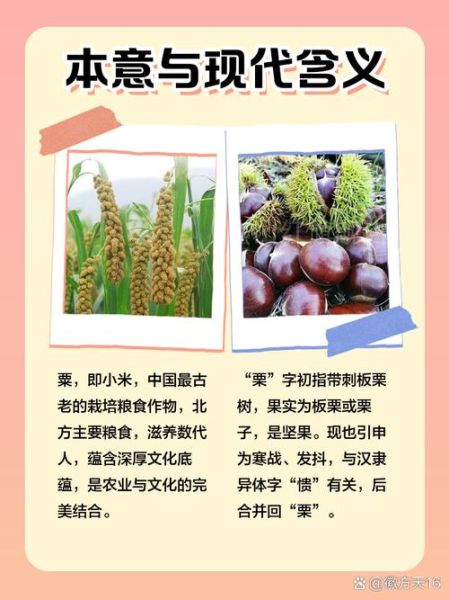 粟子和栗子的区别_哪个是板栗-第2张图片-山城妙识
