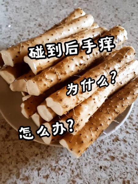 洗山药手痒能吃山药吗_山药过敏还能吃吗-第1张图片-山城妙识 洗山药手痒能吃山药吗_山药过敏还能吃吗-第1张图片-山城妙识