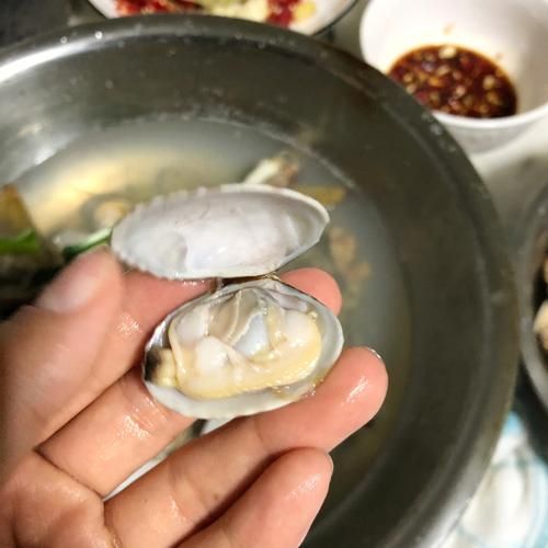 花甲怎么清洗内脏_花甲内脏清洗视频教程-第1张图片-山城妙识 花甲怎么清洗内脏_花甲内脏清洗视频教程-第1张图片-山城妙识