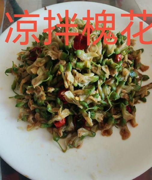 槐花怎么做好吃_槐花怎么保存才新鲜-第2张图片-山城妙识