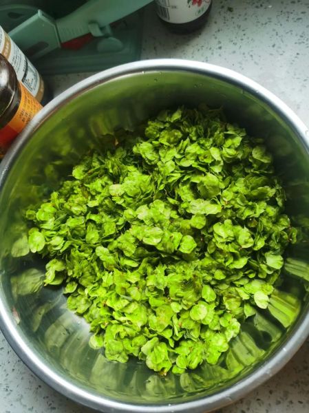 紫槐花图片做法大全_紫槐花怎么吃最好-第2张图片-山城妙识 紫槐花图片做法大全_紫槐花怎么吃最好-第2张图片-山城妙识