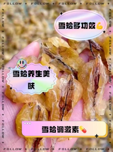 雪蛤膏的功效与作用_雪蛤膏适合什么人吃-第1张图片-山城妙识 雪蛤膏的功效与作用_雪蛤膏适合什么人吃-第1张图片-山城妙识