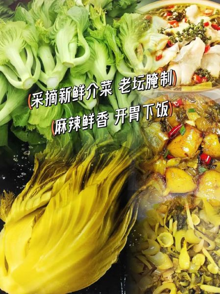 老坛酸菜用的什么菜_酸菜原料是哪种芥菜-第2张图片-山城妙识 老坛酸菜用的什么菜_酸菜原料是哪种芥菜-第2张图片-山城妙识