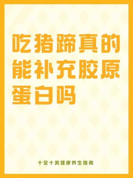 猪蹄的营养价值_吃猪蹄能补充胶原蛋白吗-第3张图片-山城妙识