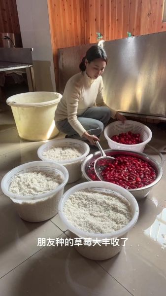 草莓酒不放白酒怎么做_家庭自酿零添加教程-第1张图片-山城妙识 草莓酒不放白酒怎么做_家庭自酿零添加教程-第1张图片-山城妙识