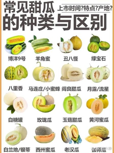 甜瓜和香瓜的区别_哪个更甜更好吃-第1张图片-山城妙识